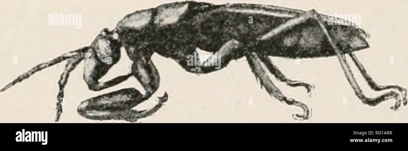 Living in giant box hi-res stock photography and images - Alamy