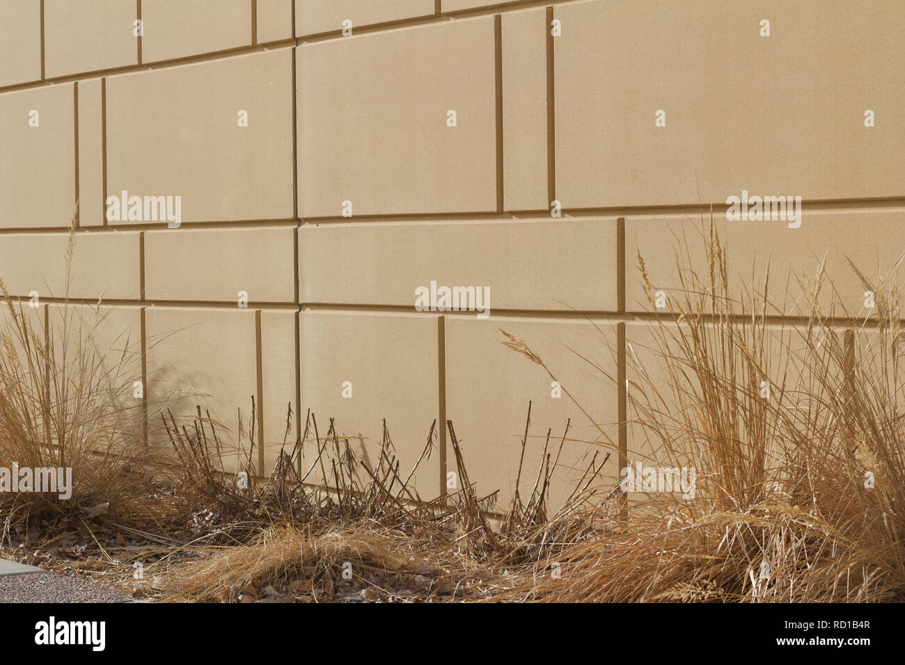 Light brown color smooth textured modern stone tile wall background ...