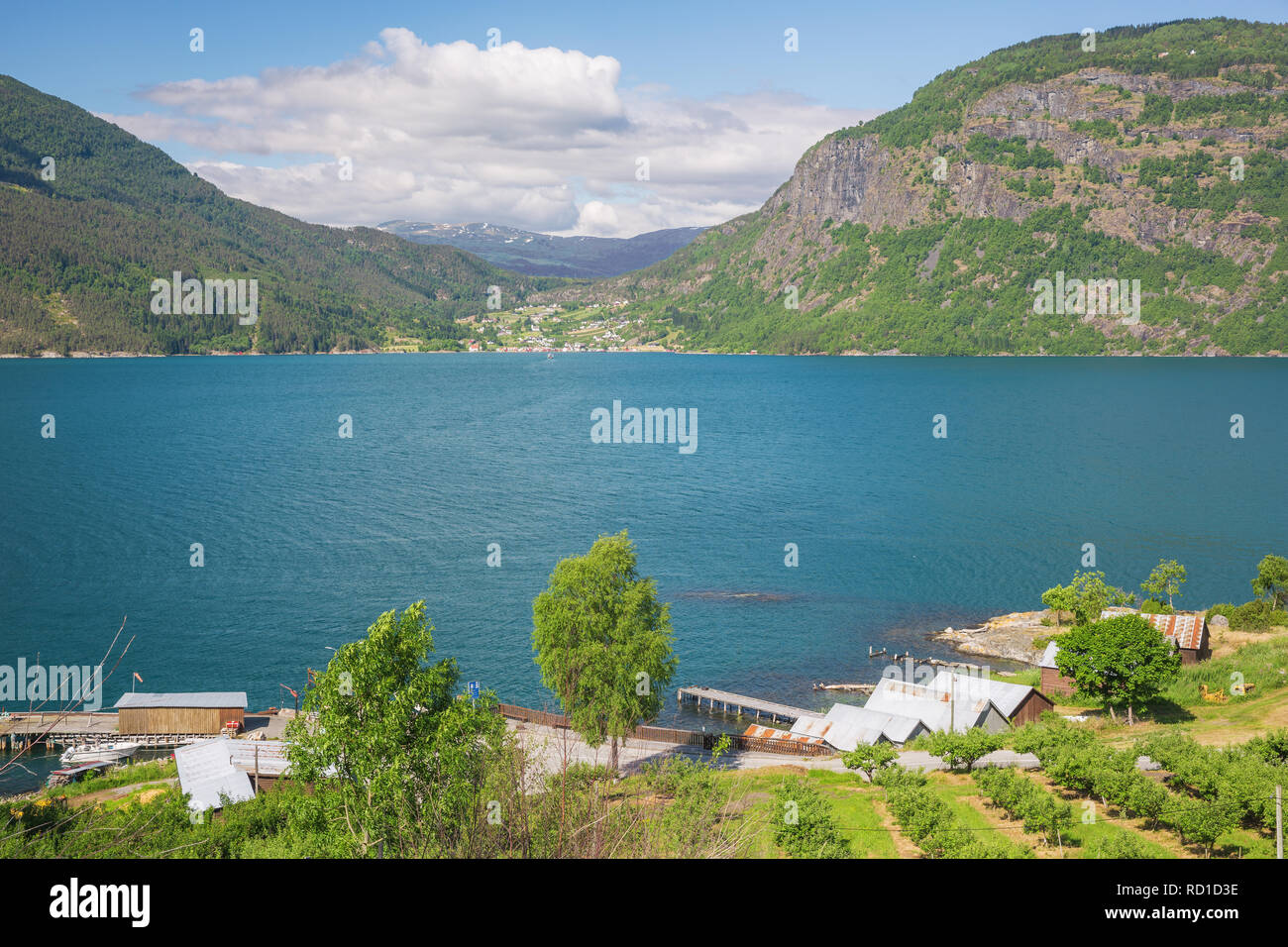 The Lustrafjord with Solvorn on the far side, seen from the road to the ...