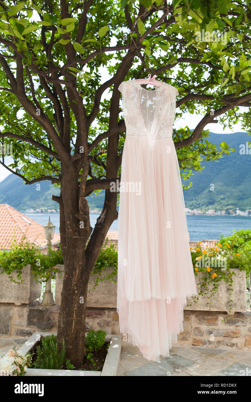 Dress hanger tree hi-res stock photography and images - Alamy