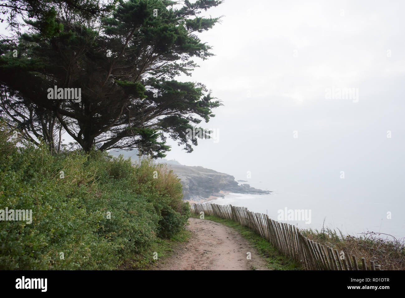 Beautiful european coast walk sea hi-res stock photography and images ...