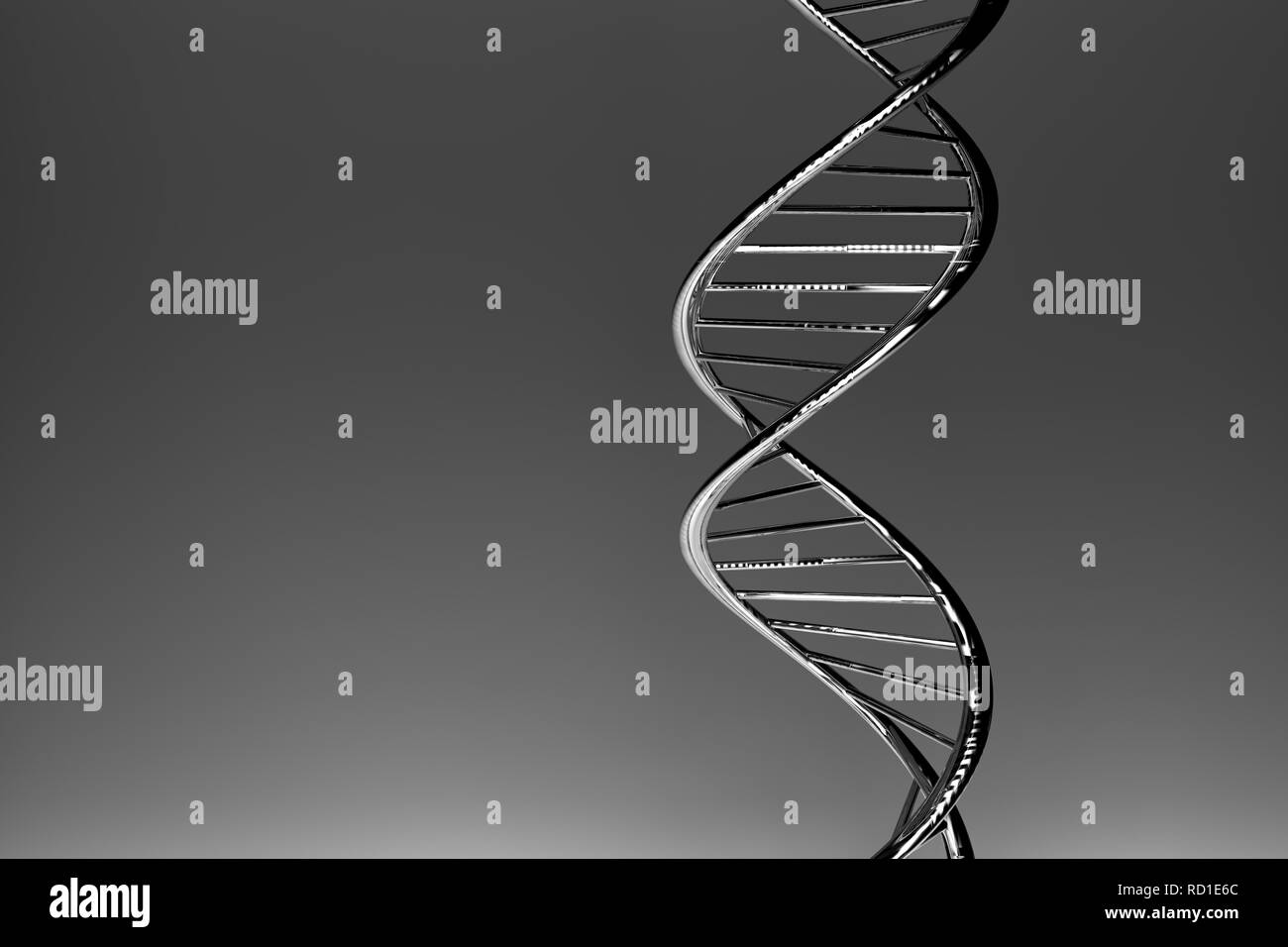 DNA double helix, grey glossy material, dark gradient background Stock ...