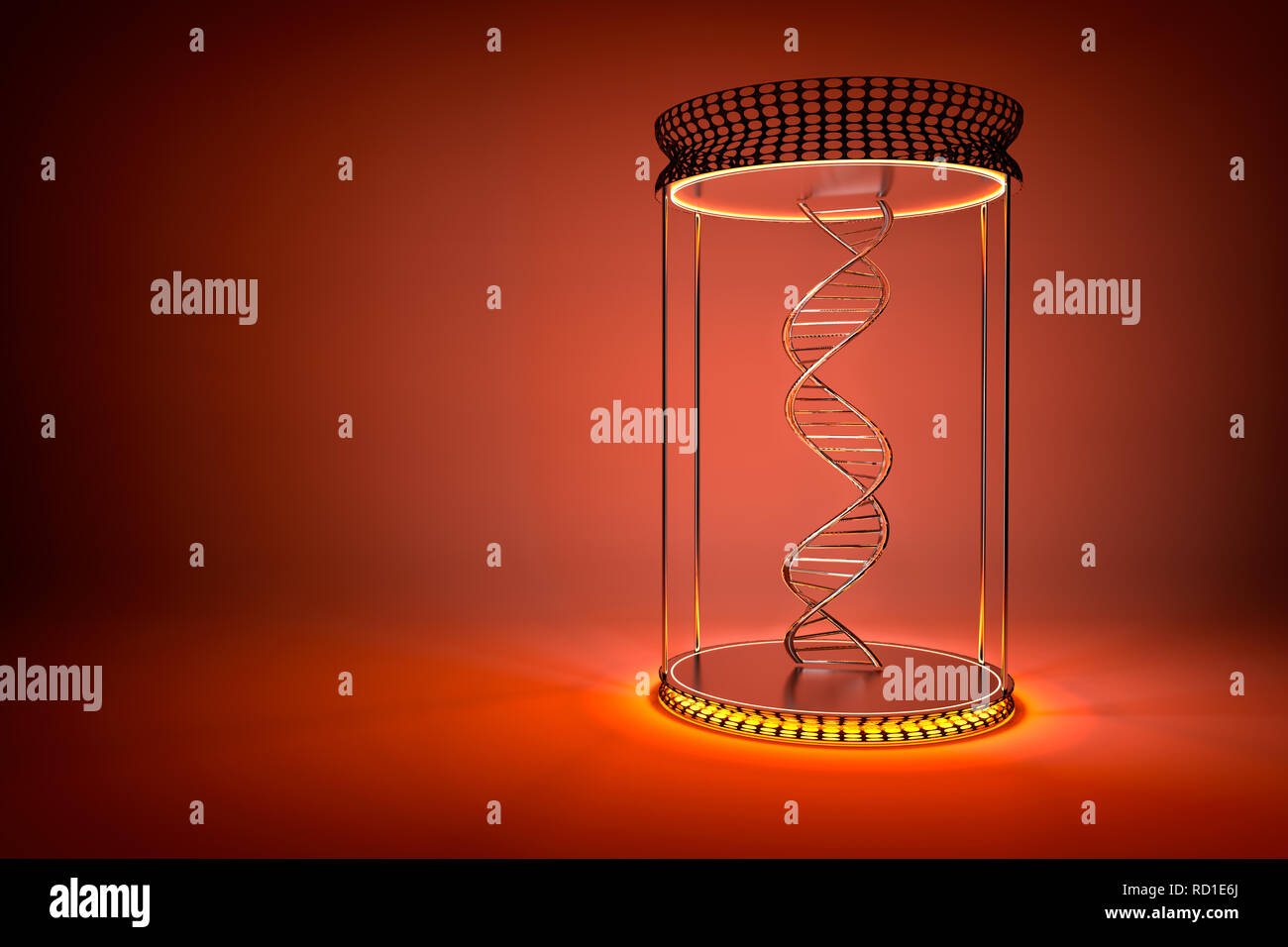 DNA double helix in show-case with orange stand, dark color background ...