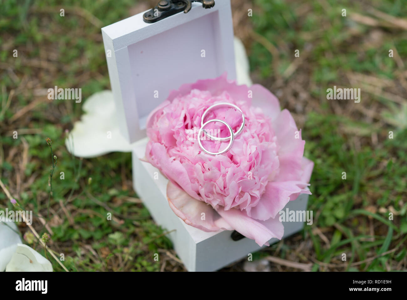 Casket ceremony hi-res stock photography and images - Alamy