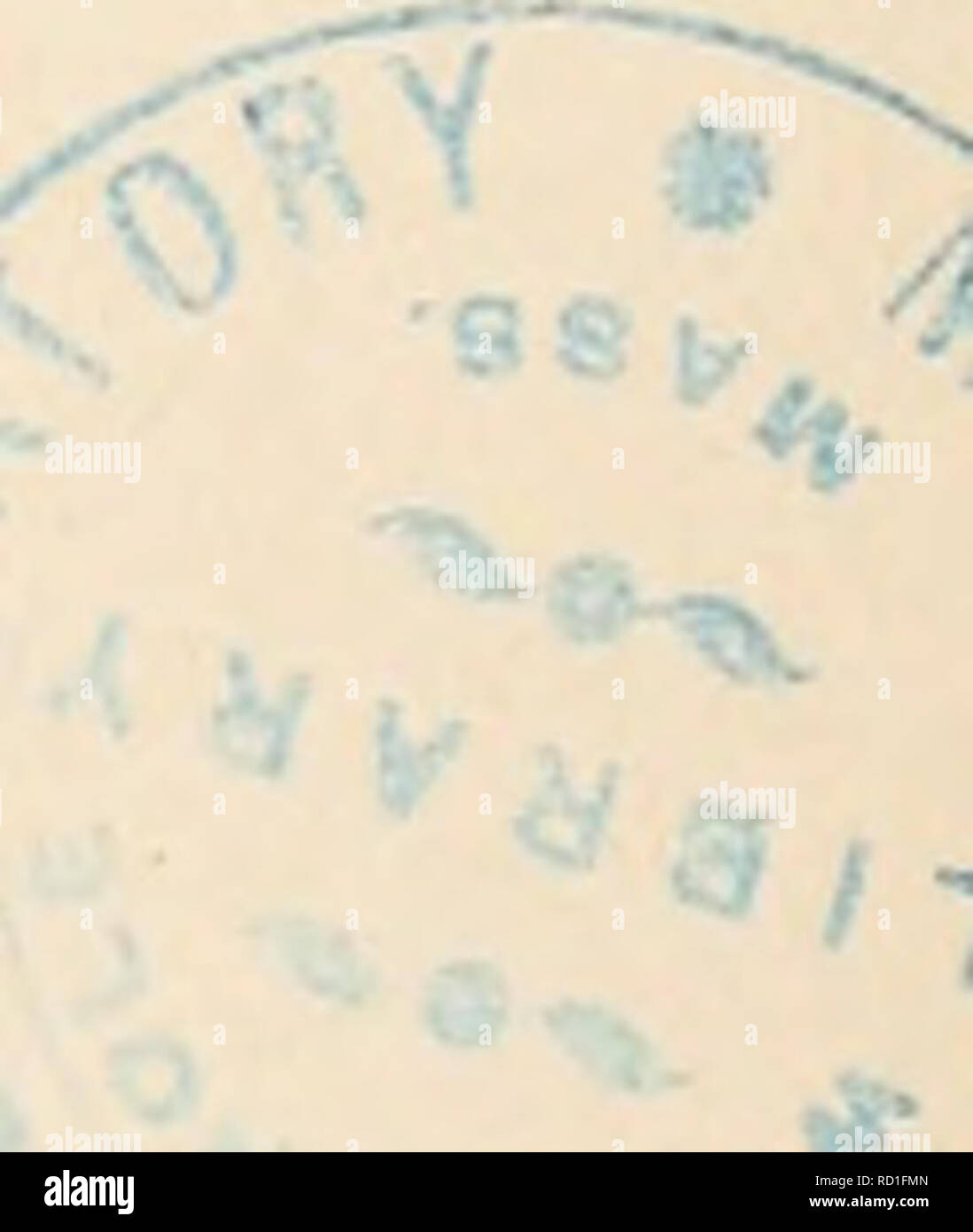 . The Danish Ingolf-Expedition. Scientific expeditions; Arctic Ocean ...