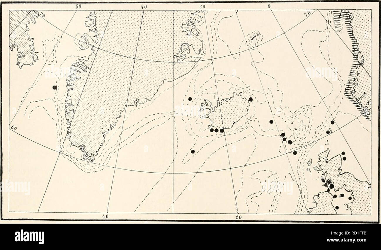 Abyssal regions hi-res stock photography and images - Alamy