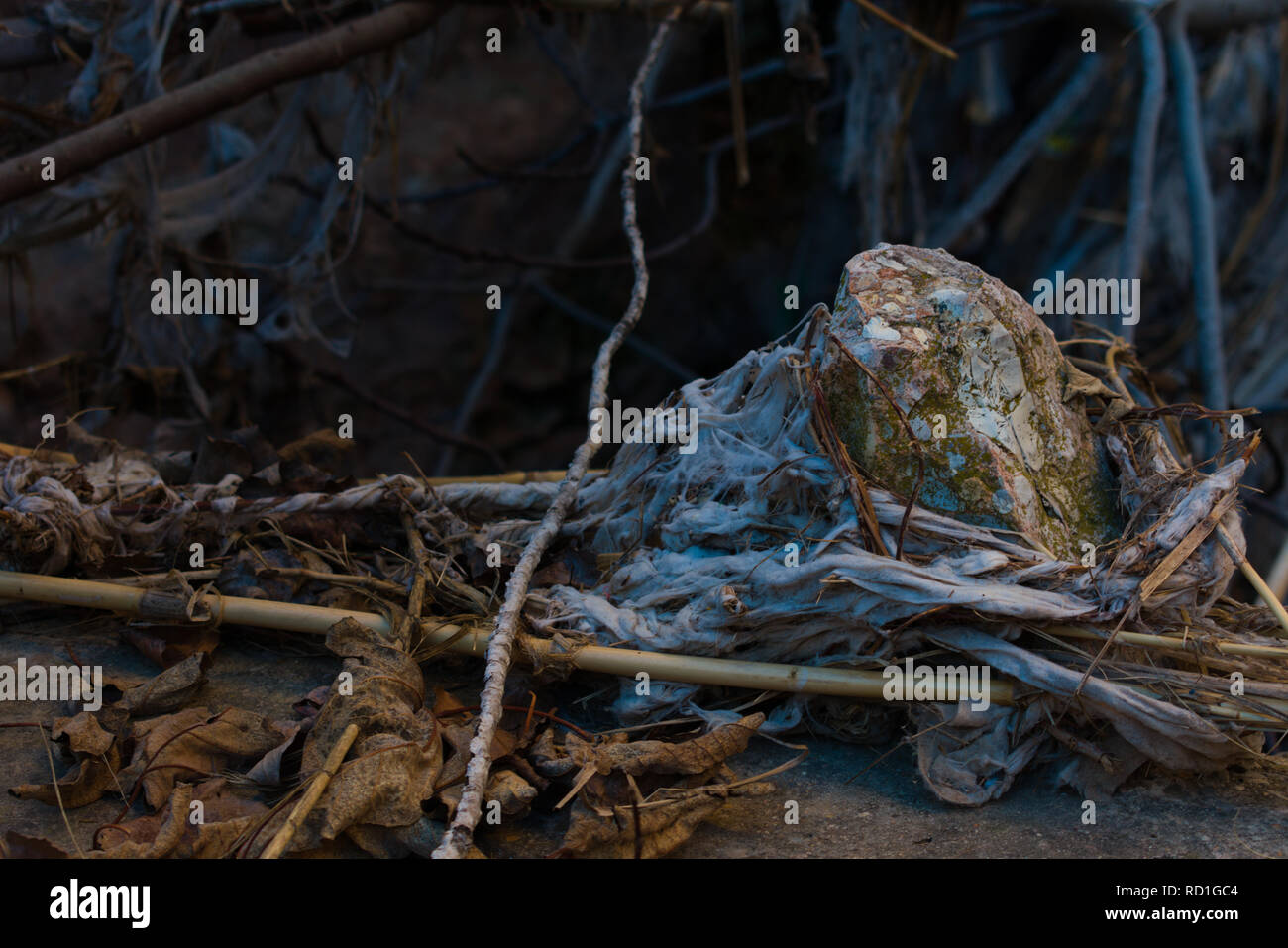 River damaged by contamination Stock Photo - Alamy