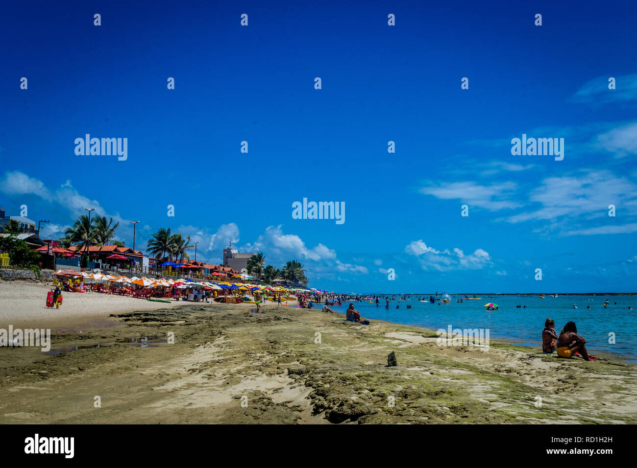 Tropical Beaches Of Maceio Brazil High Resolution Stock Photography and ...