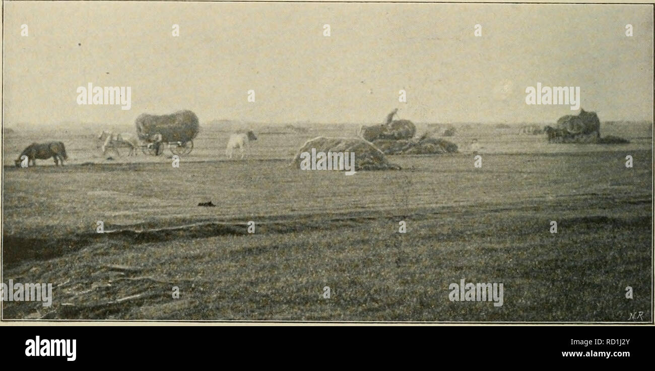 Vaernes hi-res stock photography and images - Alamy