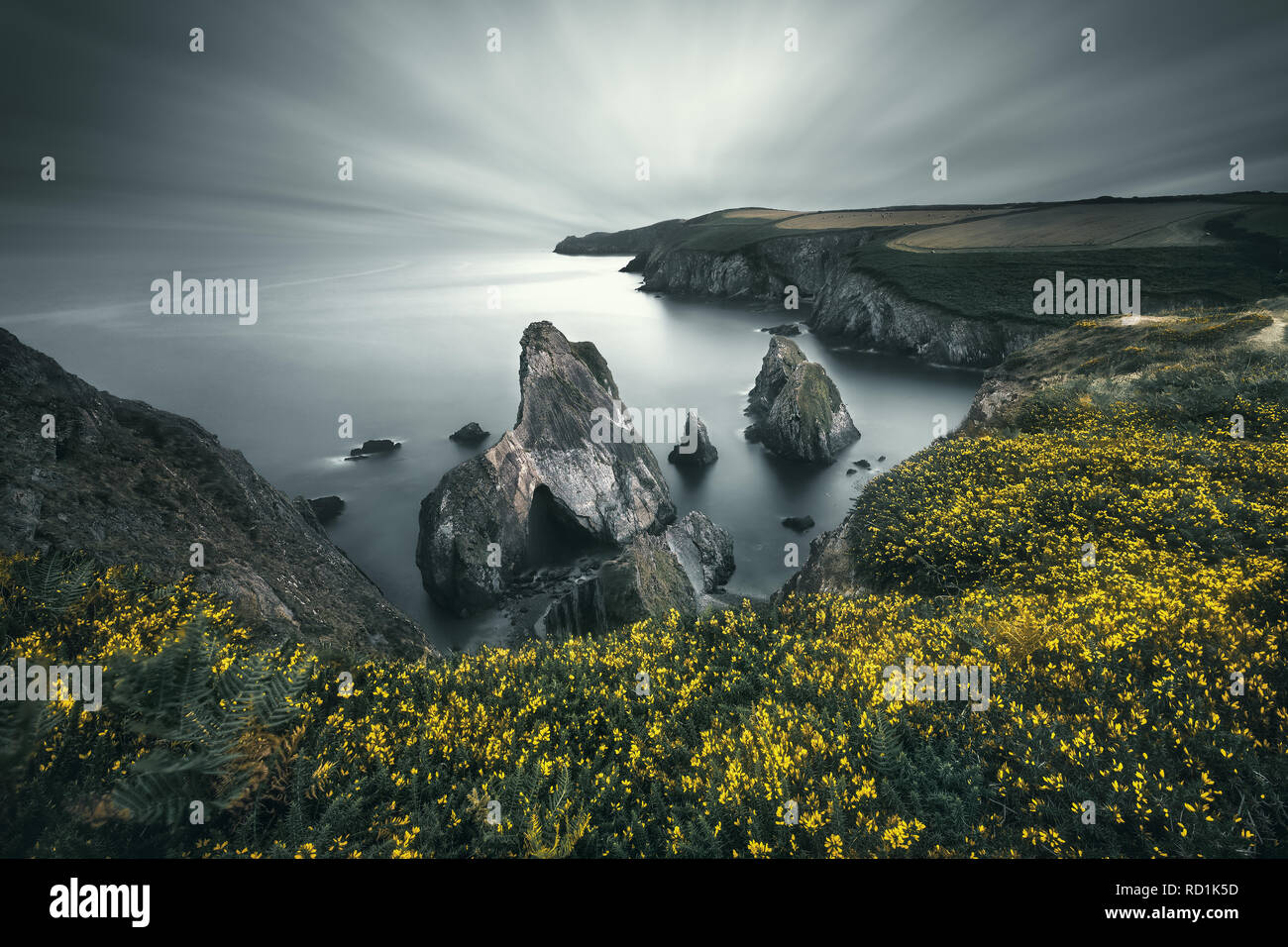 Sea stack county cork hi-res stock photography and images - Alamy