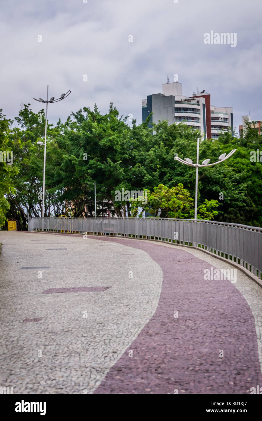 Cities of Brazil - Manaus, Amazonas state's capital - City views Stock ...