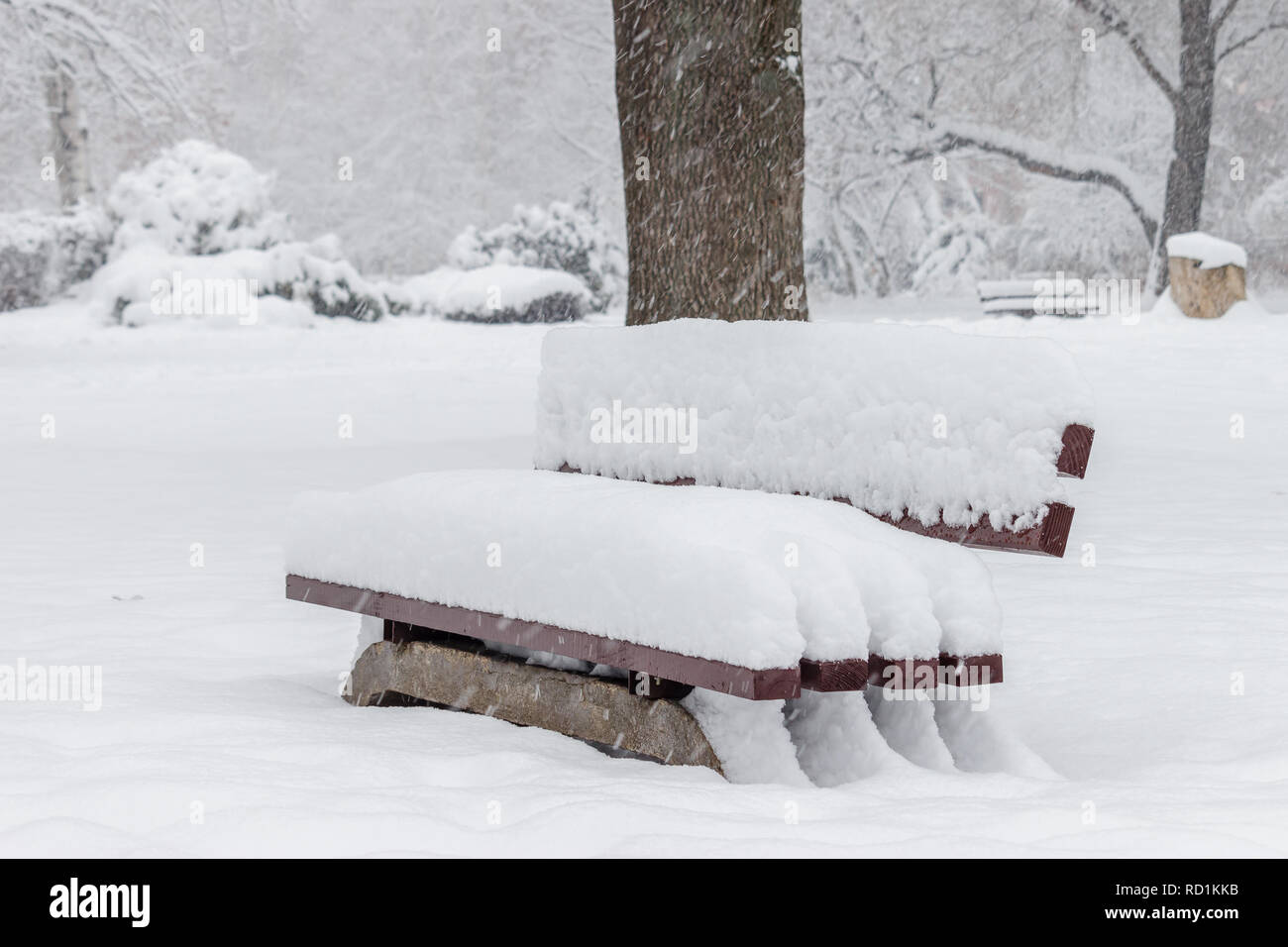 Snowy bench in the park under falling snow, close up Stock Photo - Alamy