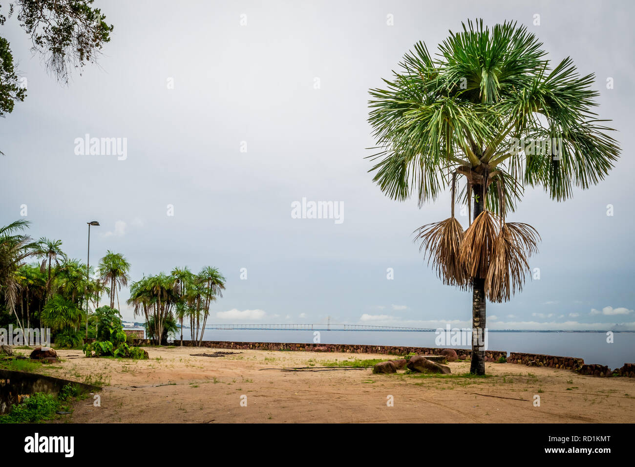 Cities of Brazil - Manaus, Amazonas state's capital - City views Stock ...