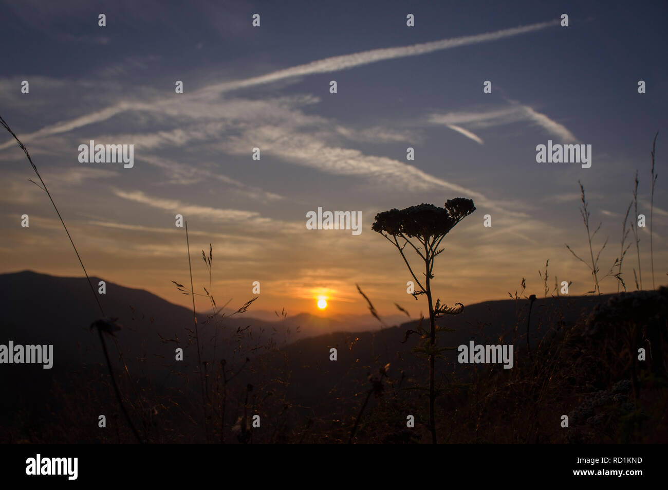 The Sinjajevina Mountains is a massif in central Montenegro, a part of ...