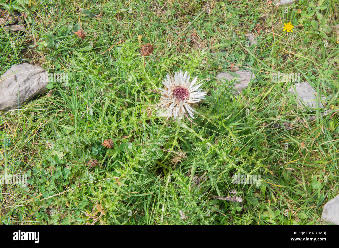 The Thethi National park in Northwest Albania neighbouring the NP ...