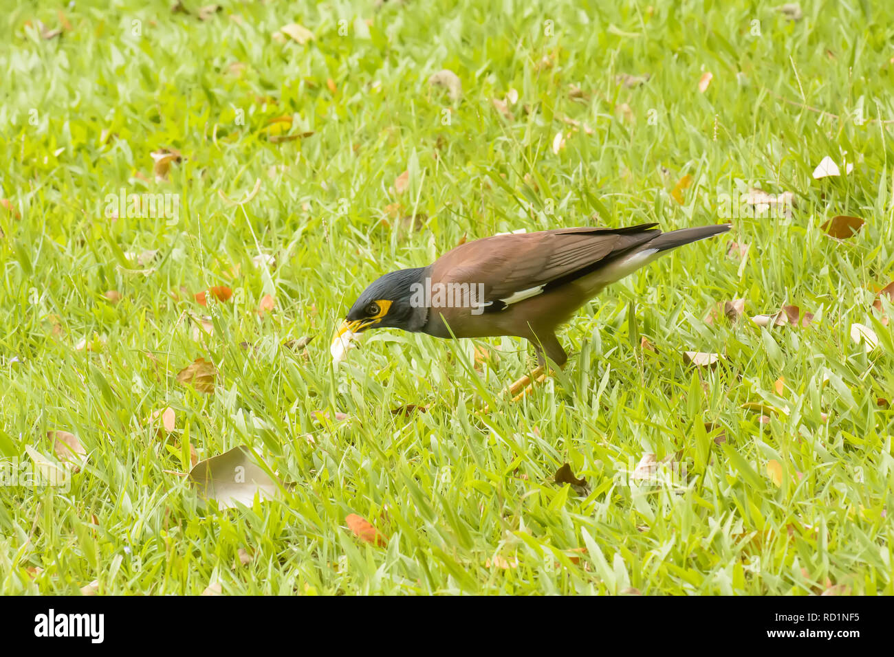 Bread talk hi-res stock photography and images - Alamy