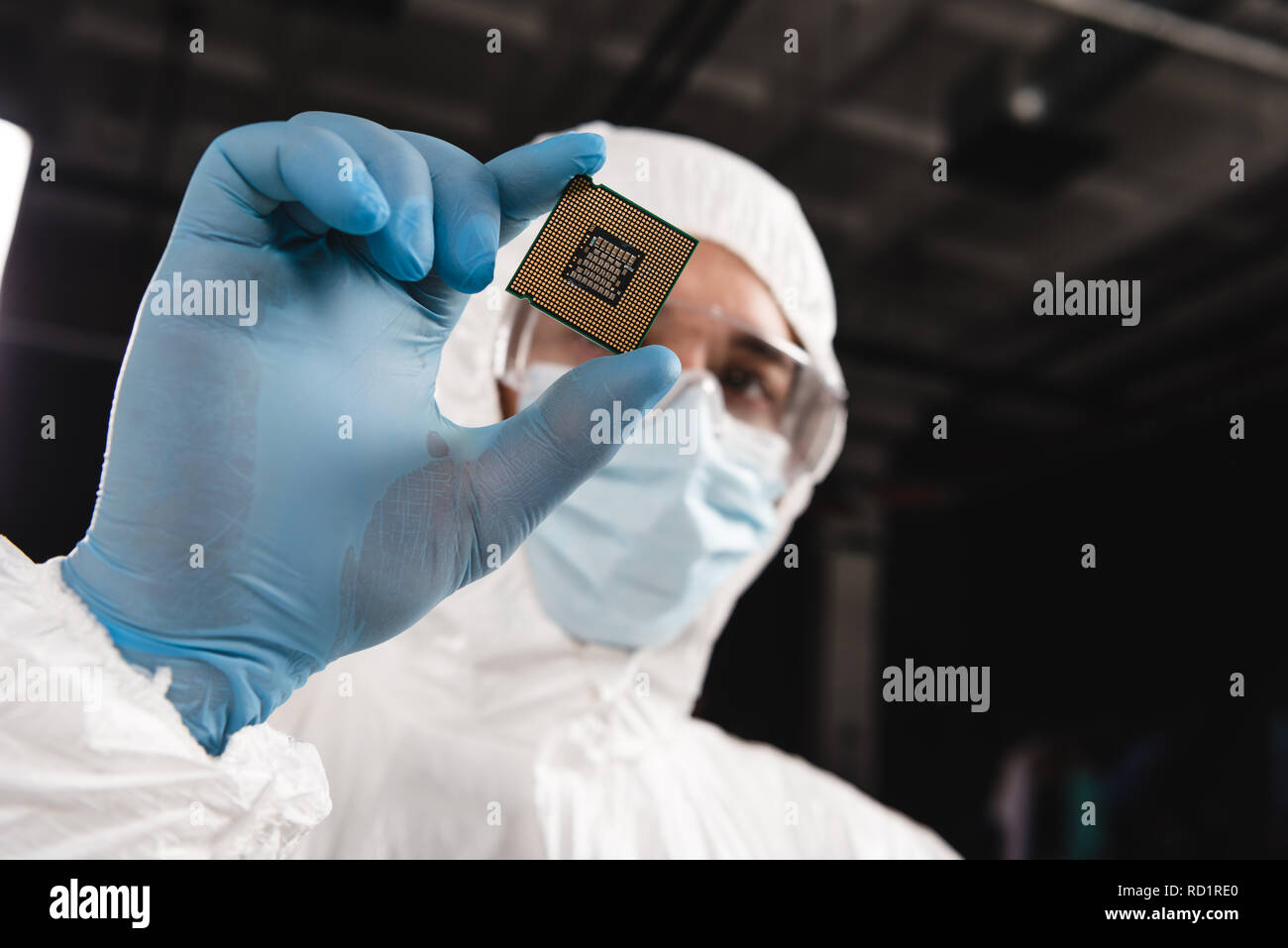 selective focus of microprocessor in hand of scientist wearing latex ...