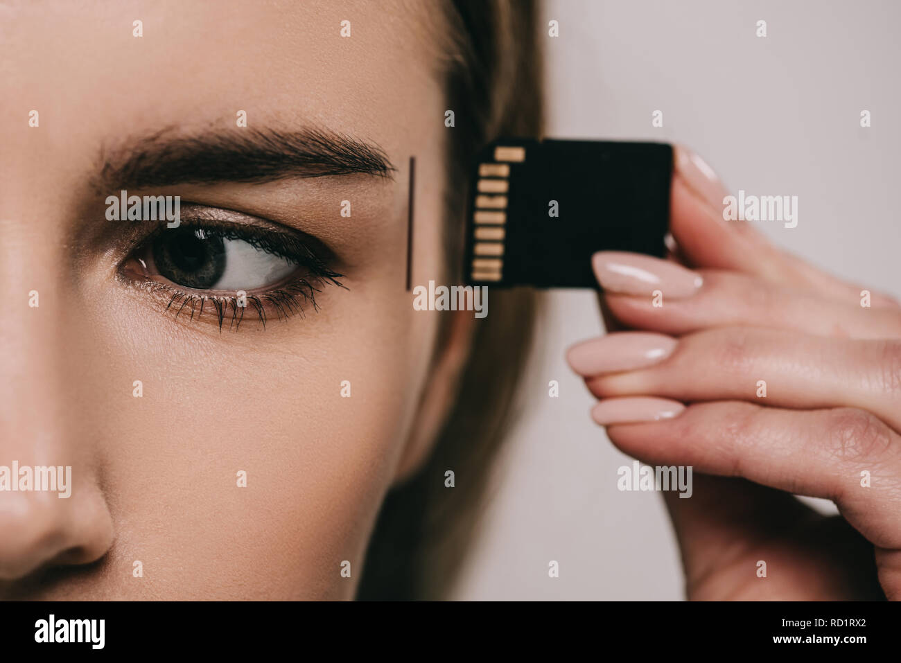 Insert microchip hi-res stock photography and images - Alamy