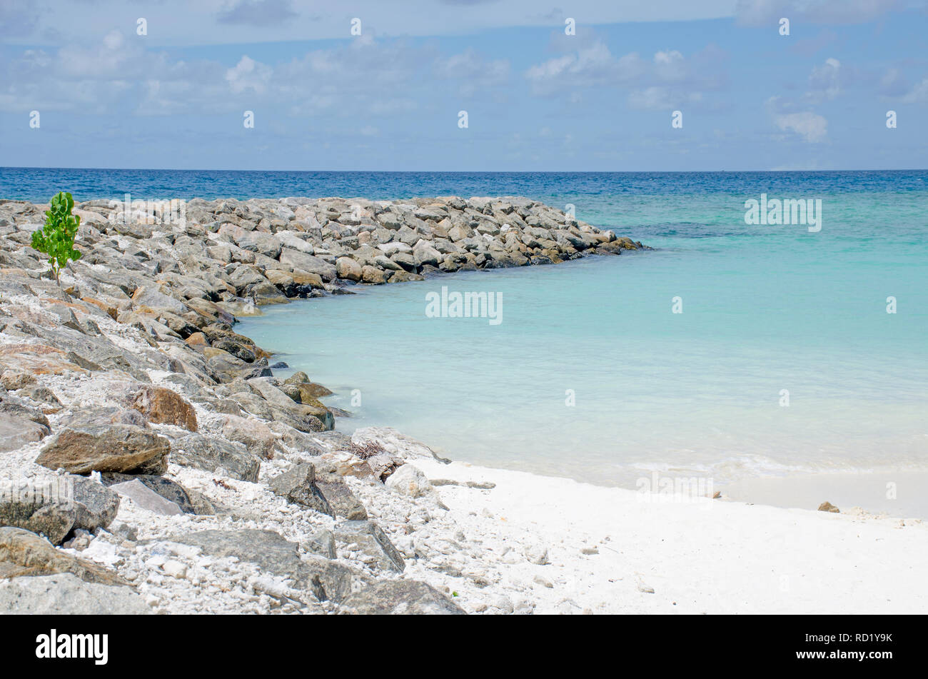 landscape the beautiful island on Maldives Stock Photo - Alamy