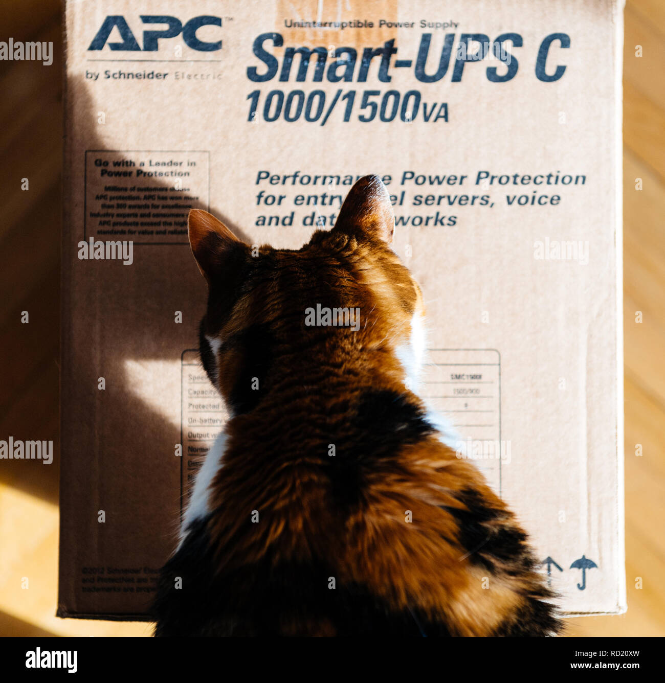 Uninterruptible power supply room hi-res stock photography and images ...