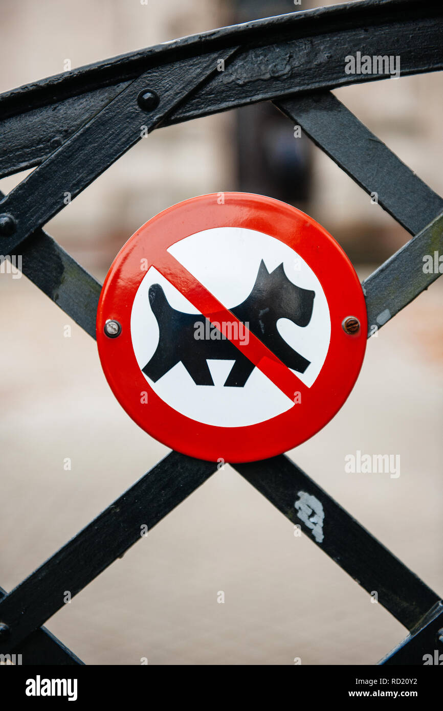 Dog forbidden signage on the fence in German city Stock Photo - Alamy