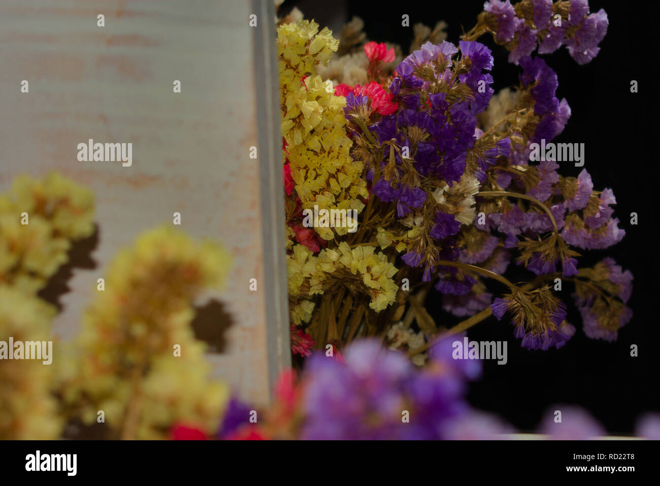 Flowers reflected in the mirror Stock Photo - Alamy