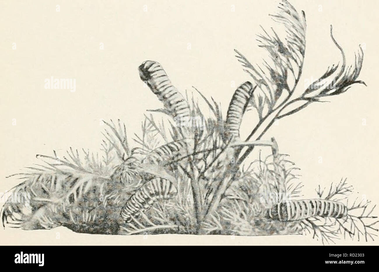 15 minute cycle hi-res stock photography and images - Alamy