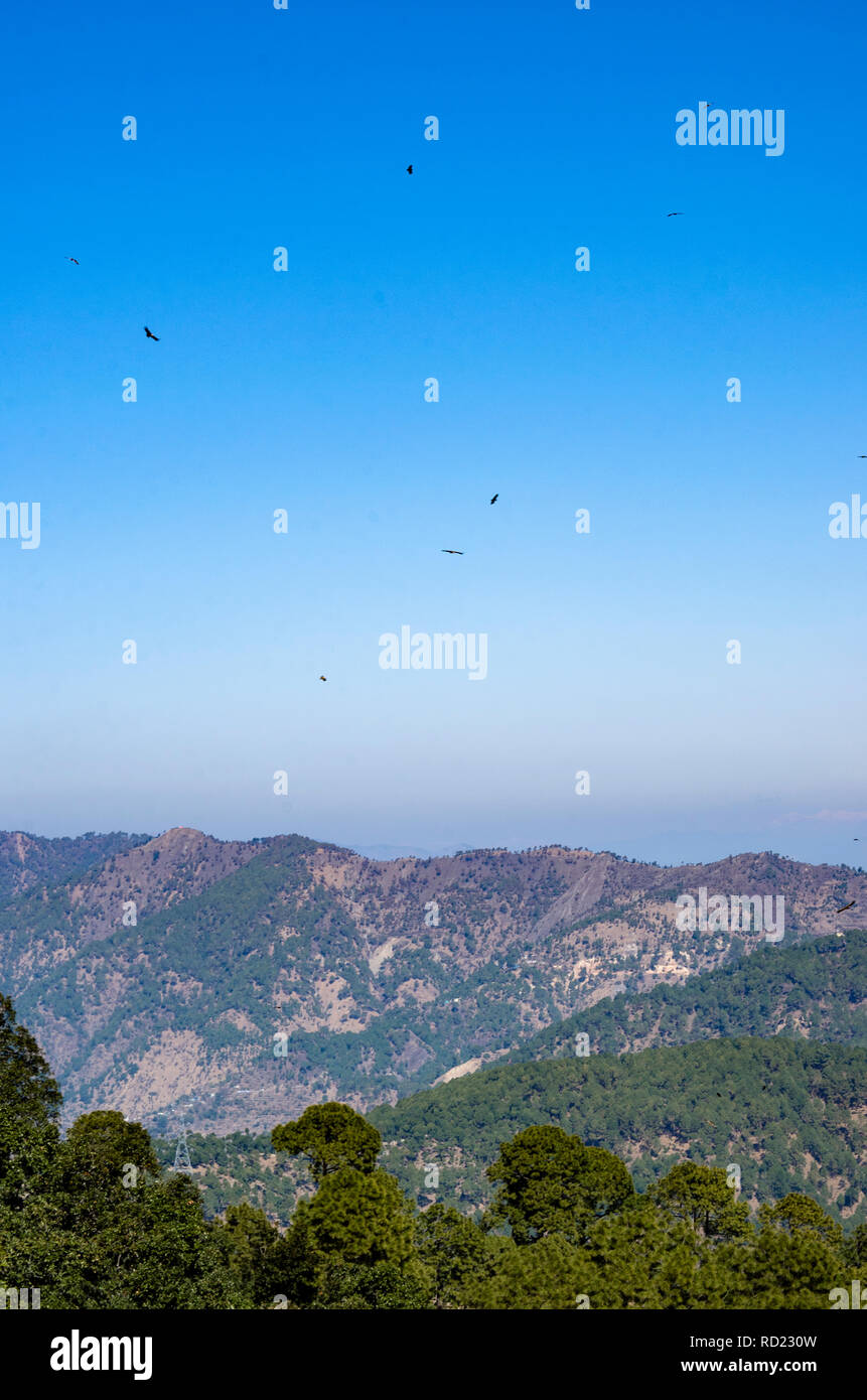 View of Himalaya from Lansdowne Stock Photo - Alamy