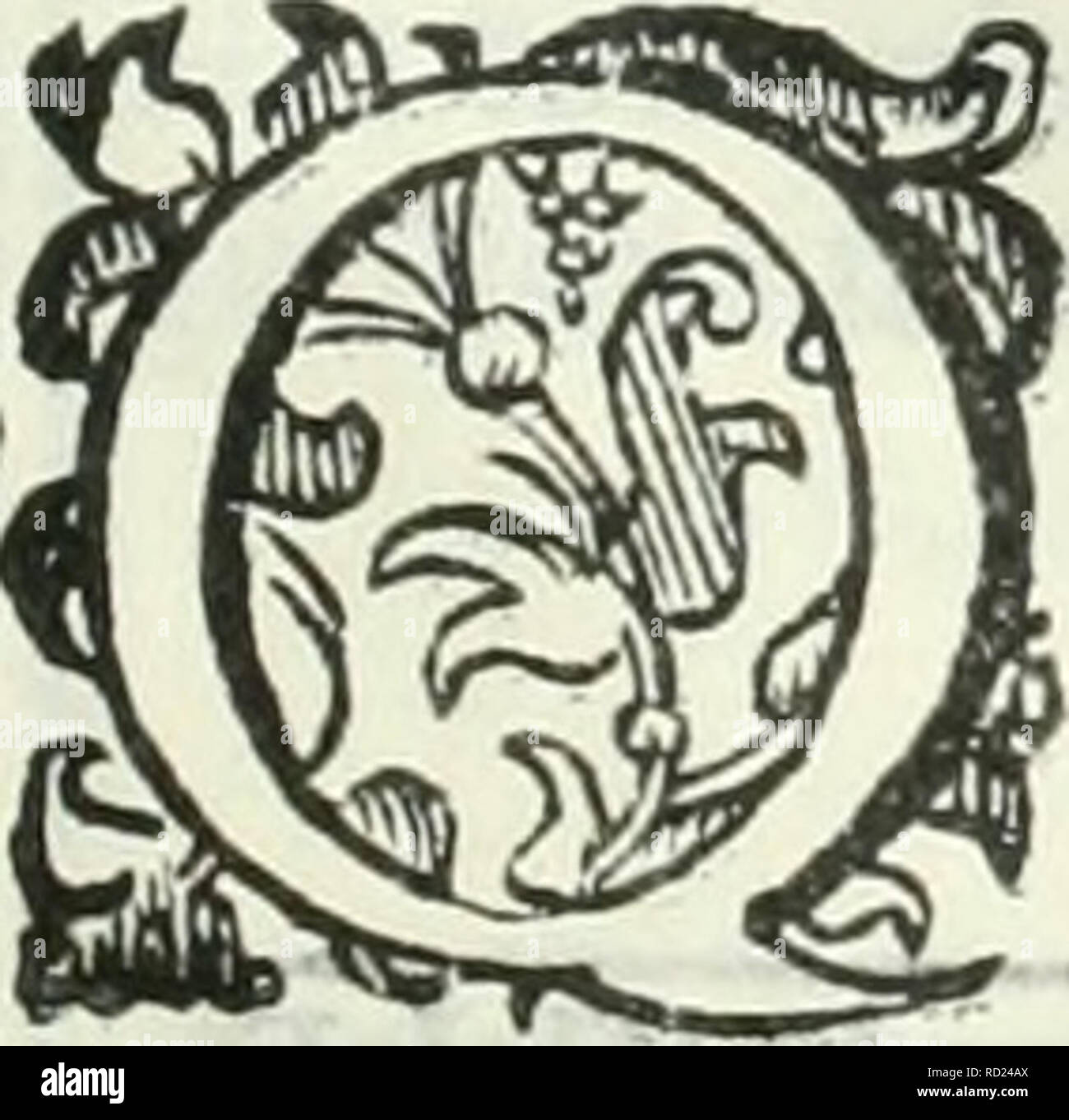 Lana calda hi-res stock photography and images - Alamy