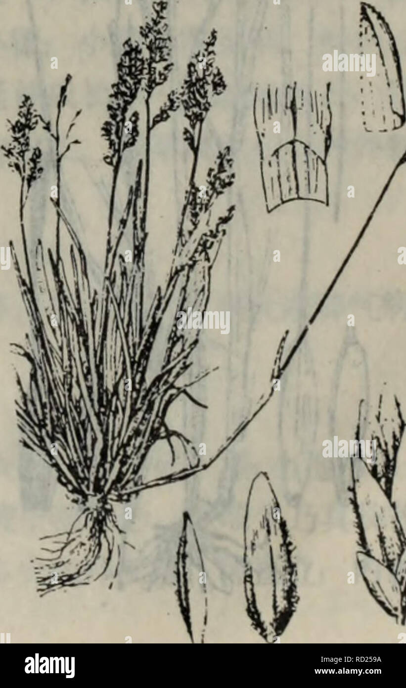 Zhi hang hi-res stock photography and images - Alamy