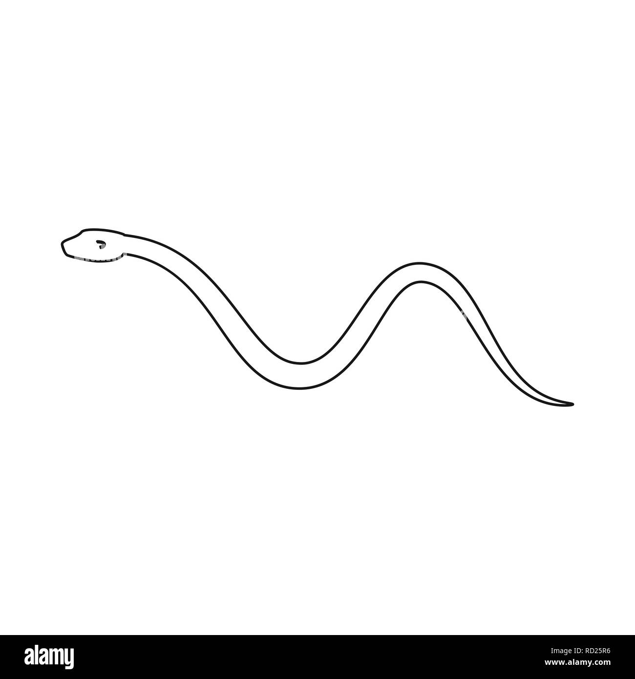 snake,tail,leather,creeping,threat,throw,blue,animal,spiral,forest ...