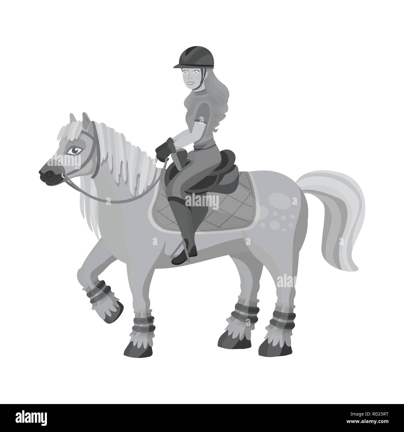 animal,rider,marathon,training,professional,equestrienne,jockey,man ...