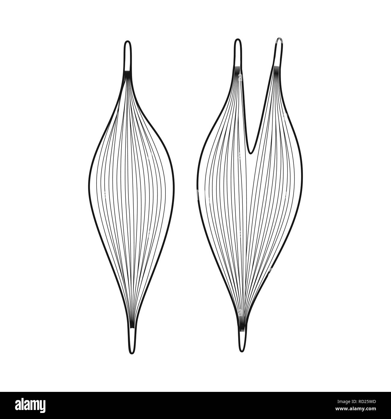 Isolated object of anatomy and organ logo. Collection of anatomy and ...