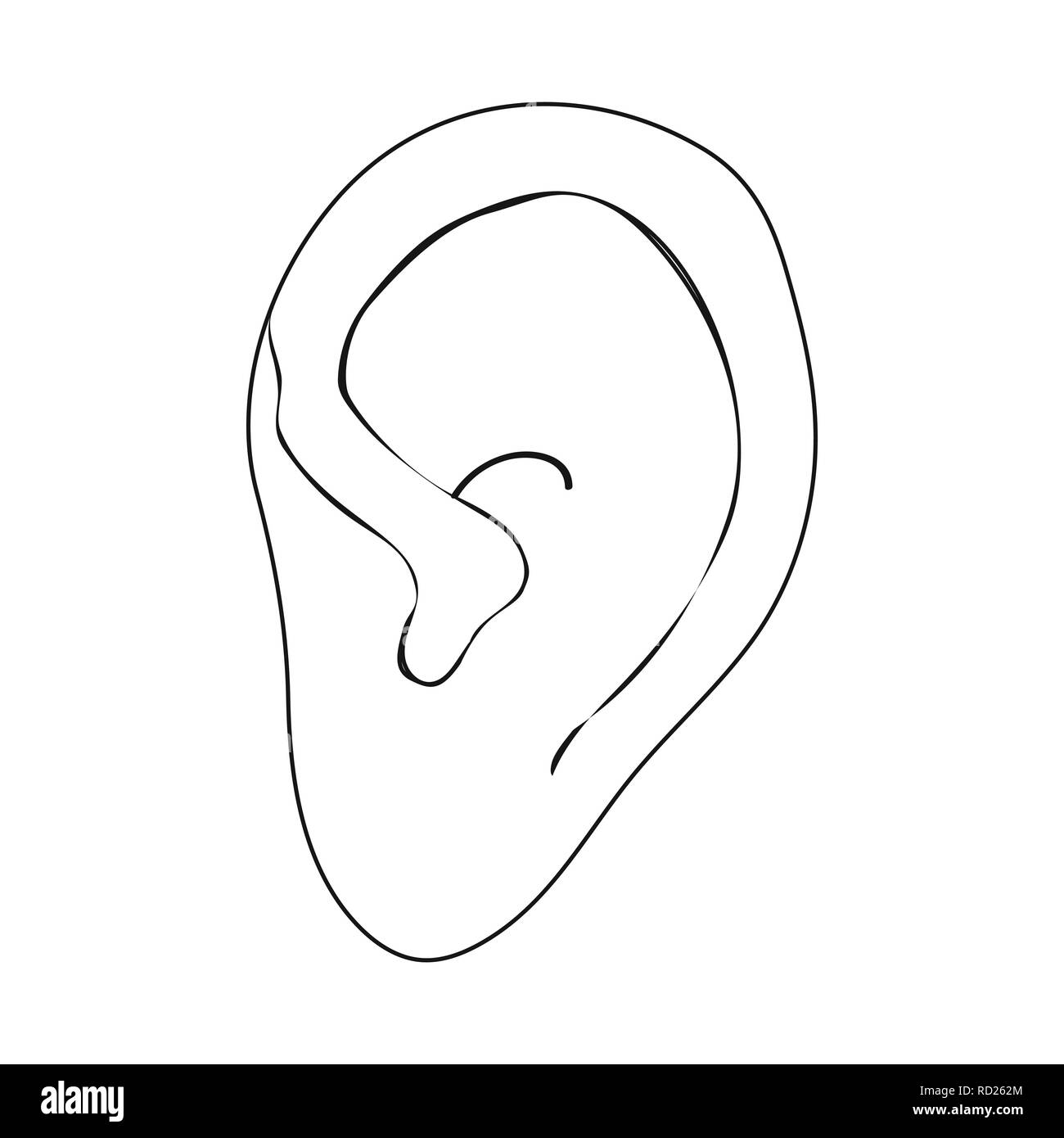 ear,hearing,ent,branch,listening,listen,cochlear,disease,otitis,tube ...