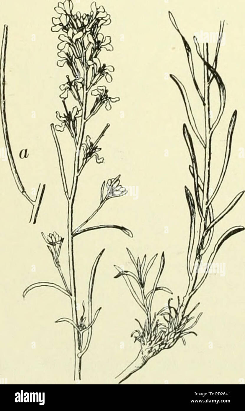 Leemgrond hi-res stock photography and images - Alamy