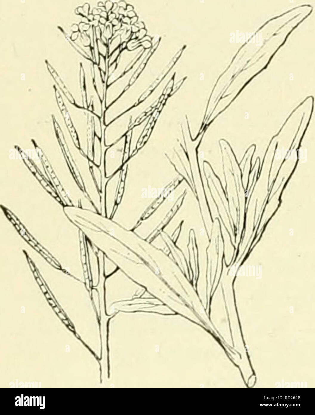 Leemgrond hi-res stock photography and images - Alamy