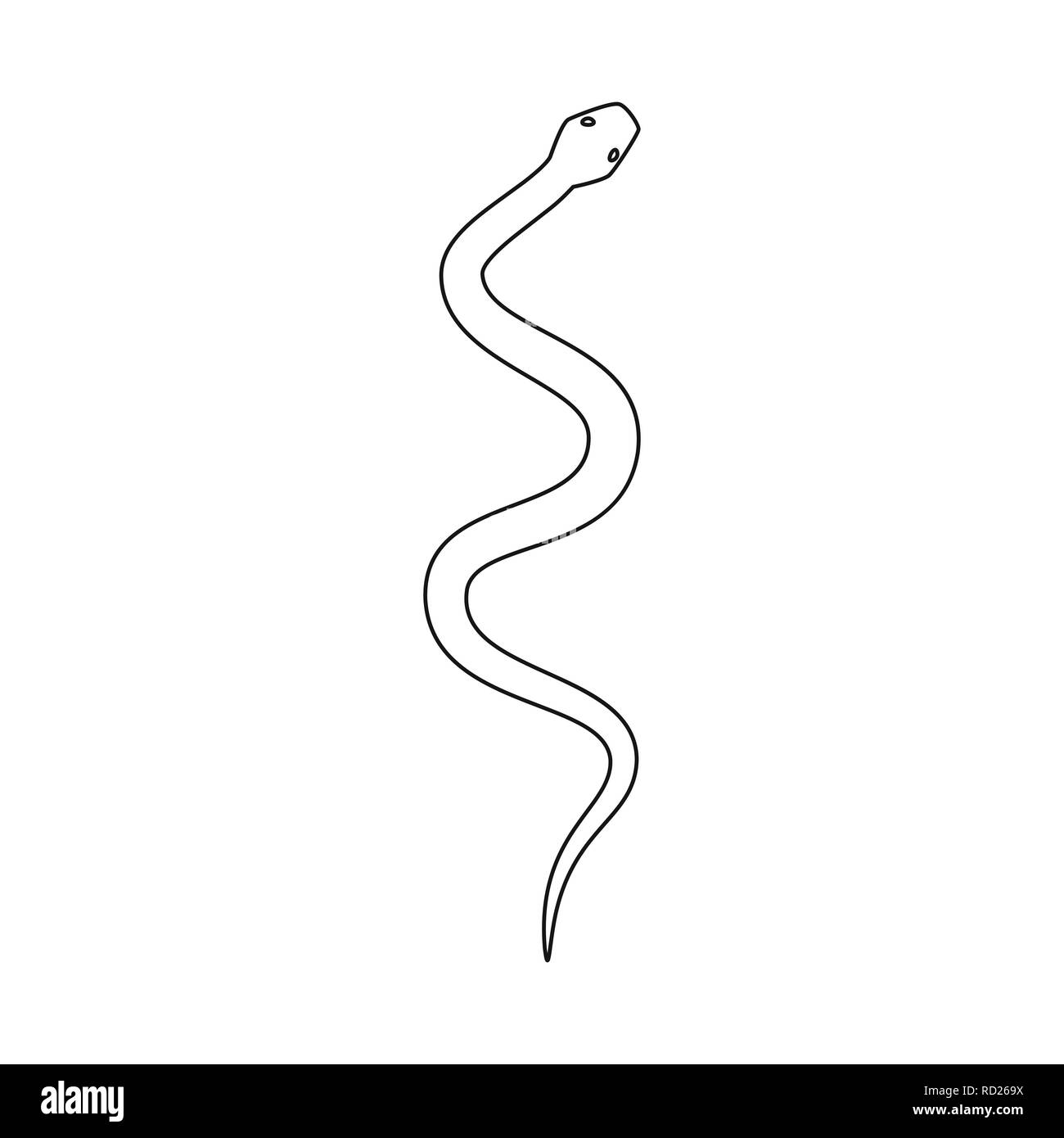 Snake tail wild spiral Black and White Stock Photos & Images - Alamy