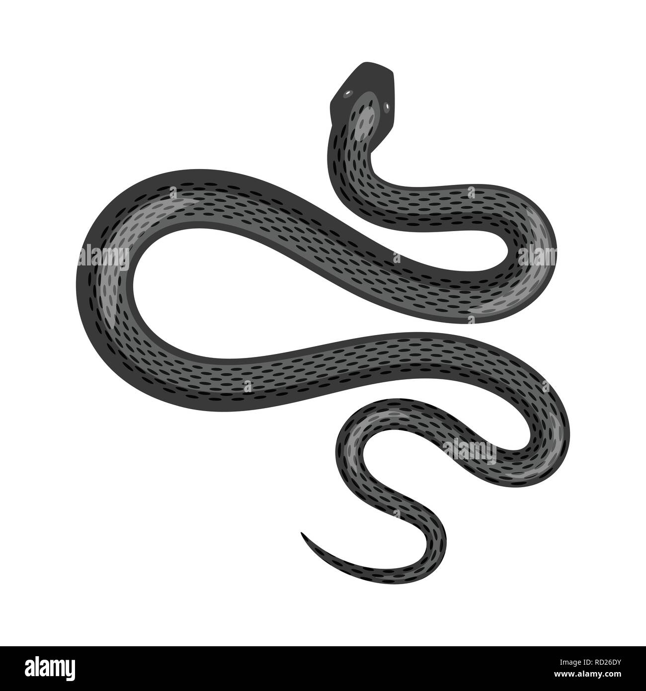 amphibian,anaconda,tail,spiral,Cyprus,pharmacy,animal,cobra,blue ...