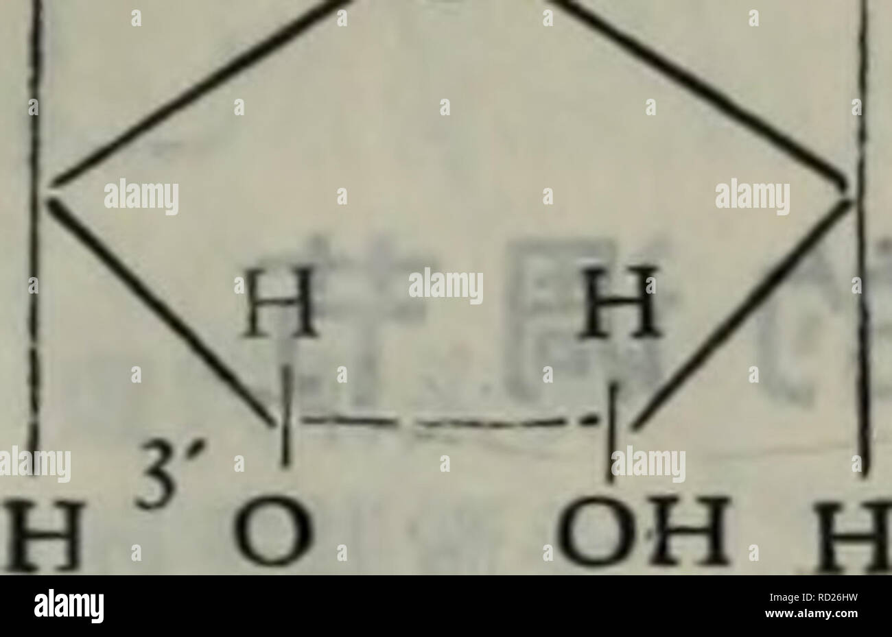 Tang xie hi-res stock photography and images - Alamy