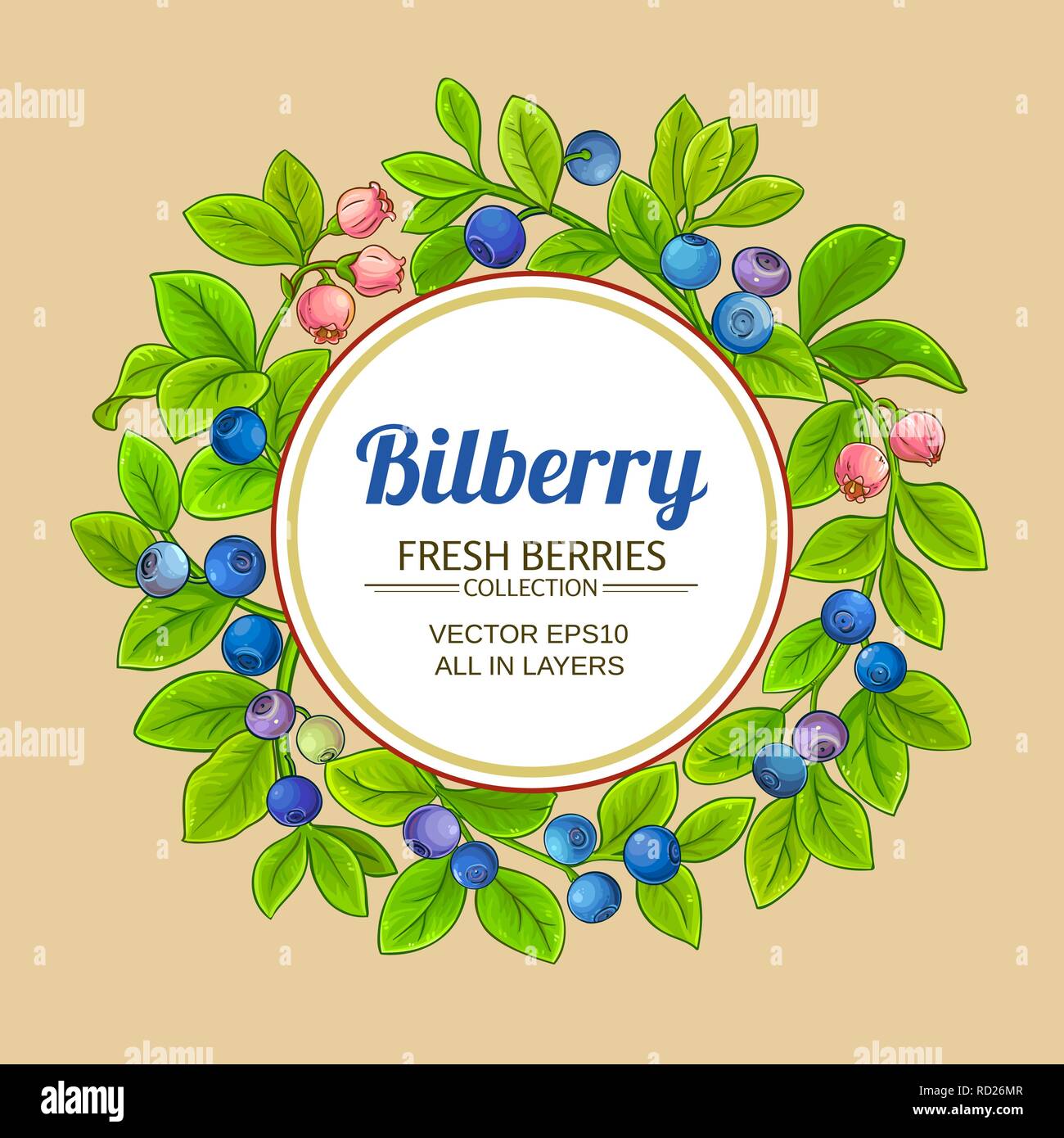 Frame fresh berries on Stock Vector Images - Alamy