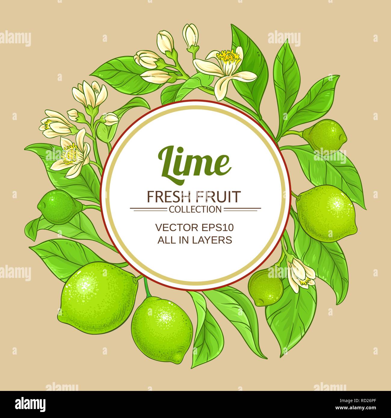 lime vector frame on color background Stock Vector Image & Art - Alamy