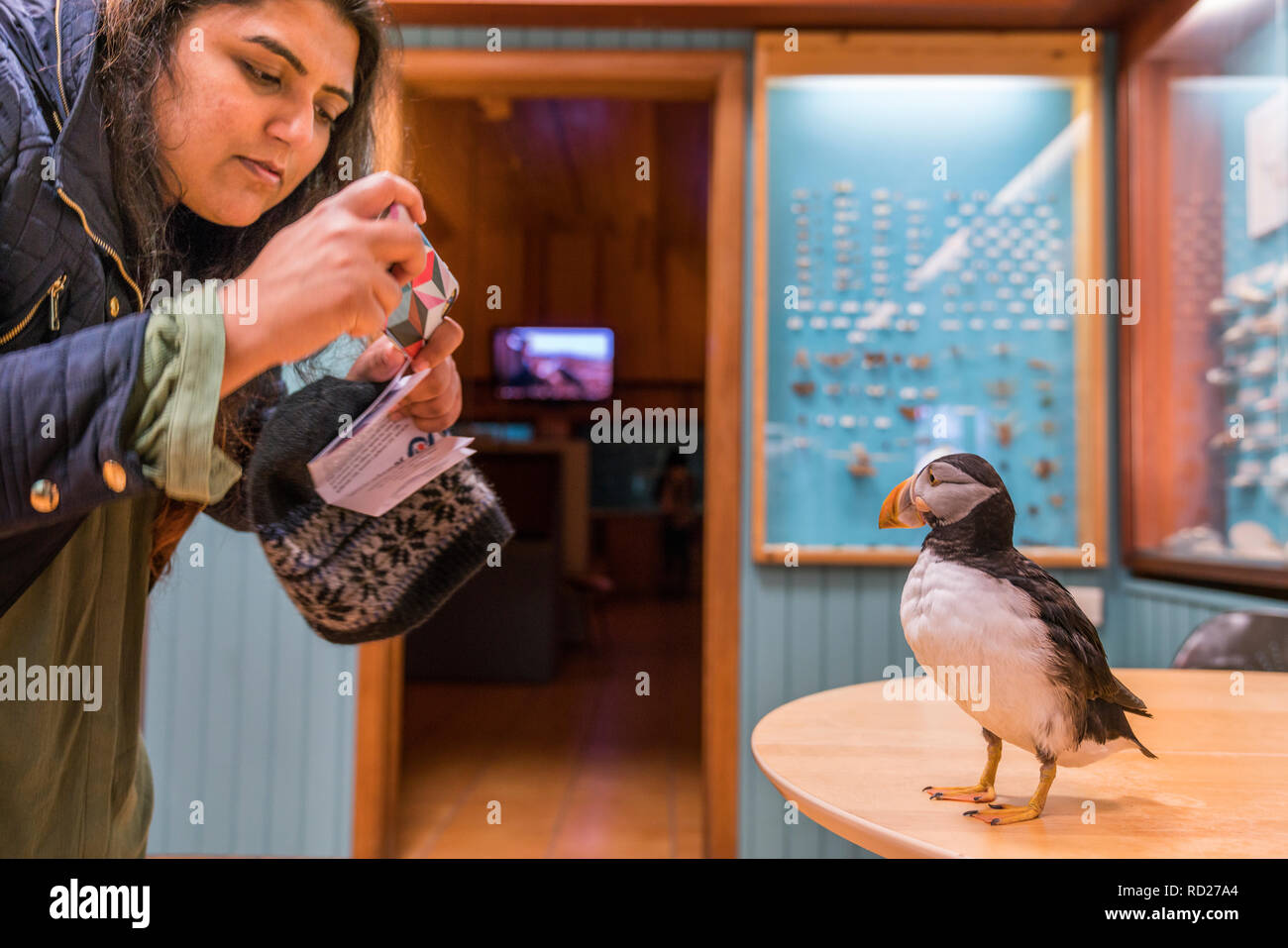 Museum of national history hi-res stock photography and images - Alamy