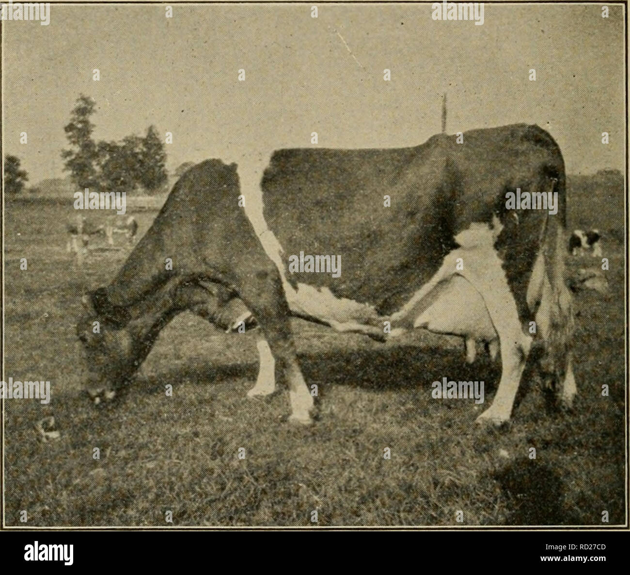 Pre dominant color hi-res stock photography and images - Alamy