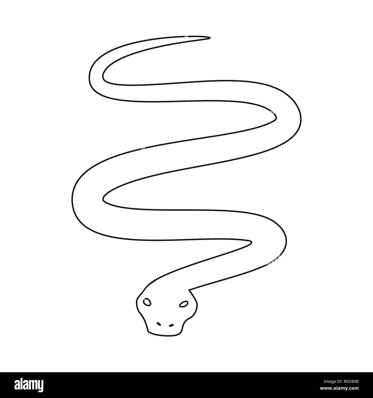 snake,tail,leather,creeping,threat,throw,pink,animal,spiral,forest ...