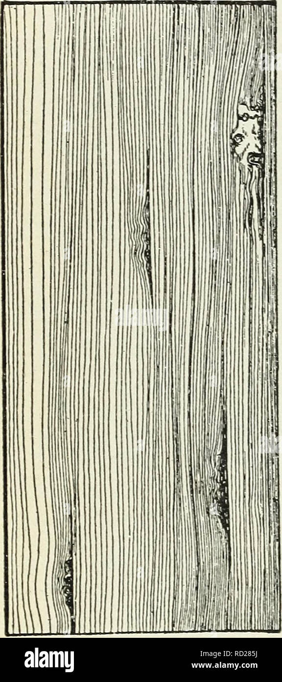 Pitch moth hi-res stock photography and images - Alamy