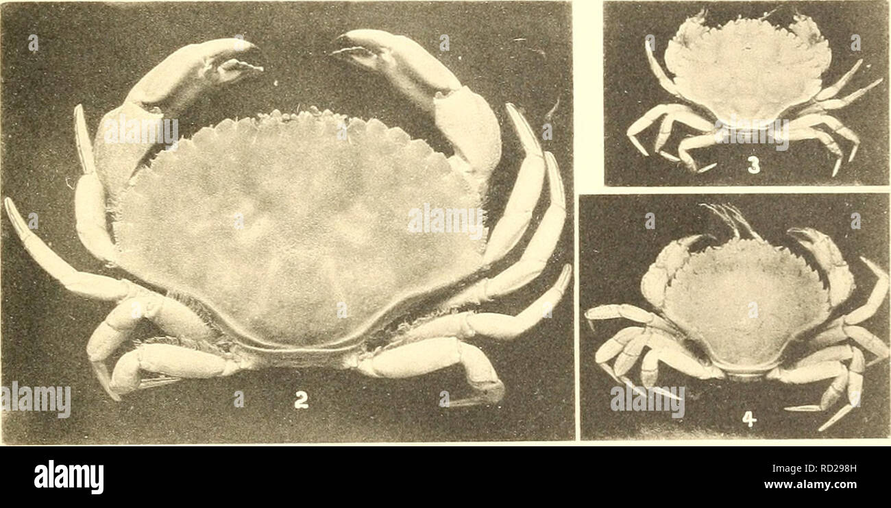 Mary jane rathbun hi-res stock photography and images - Alamy