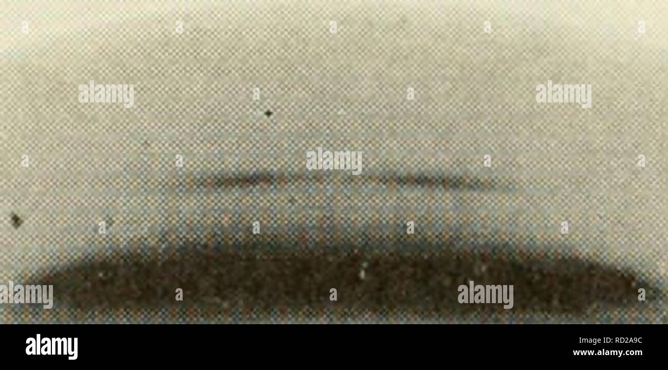 Dna x ray diffraction pattern hi-res stock photography and images - Alamy