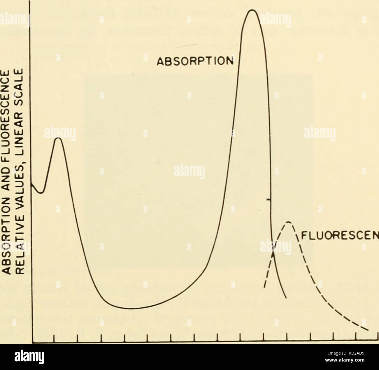 . Cytology. Cytology. Fluorescence Microscopy The fluorescence ...