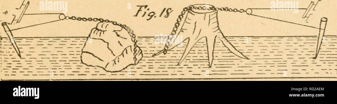 Stump pulling hi-res stock photography and images - Alamy