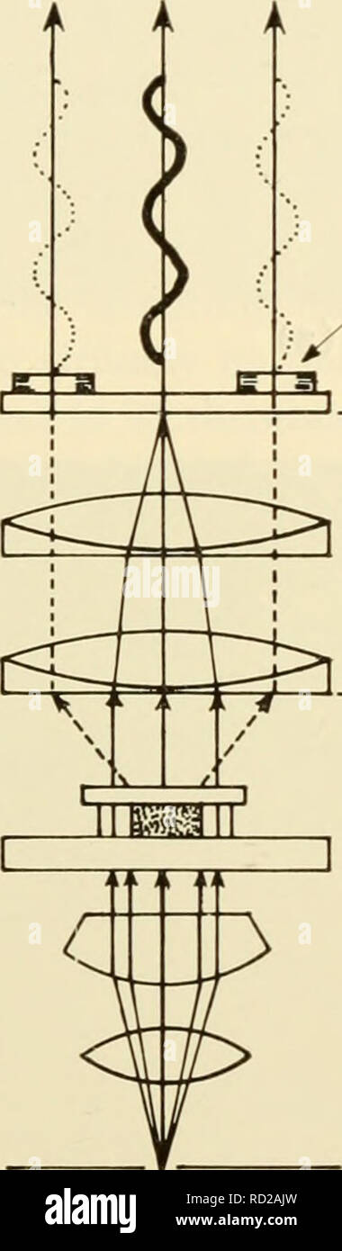 Phase contrast microscopy hi-res stock photography and images - Alamy